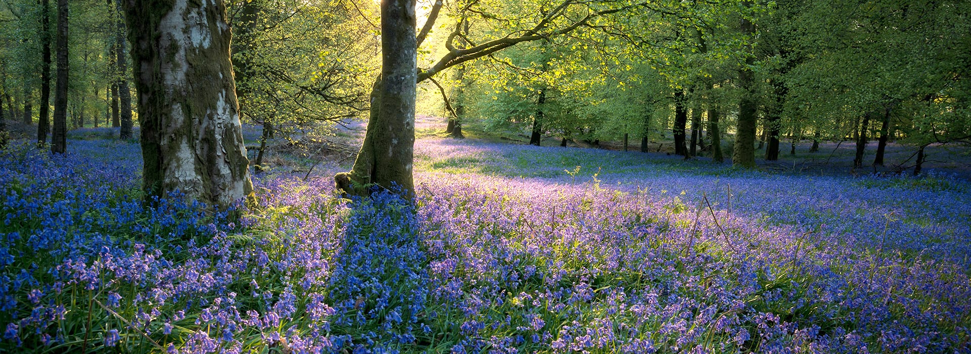 News – Condover Parish Council